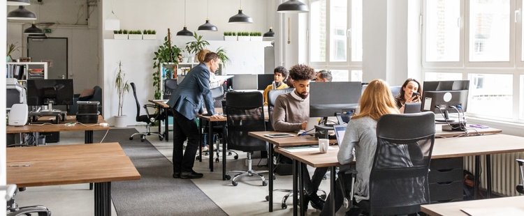 The perfect job? It must involve tea, chairs, views and tidiness. | MPL ...