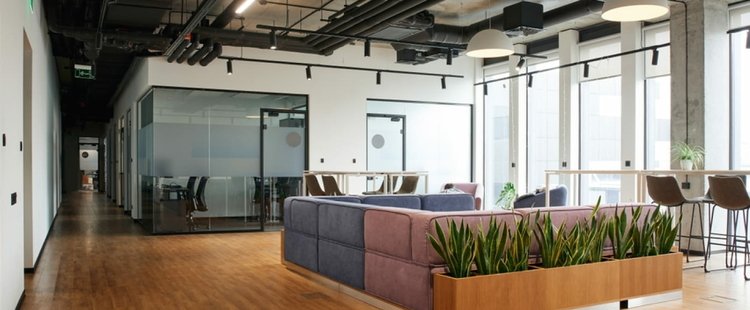ESG in the Workplace: Build a Sustainable Office | MPL